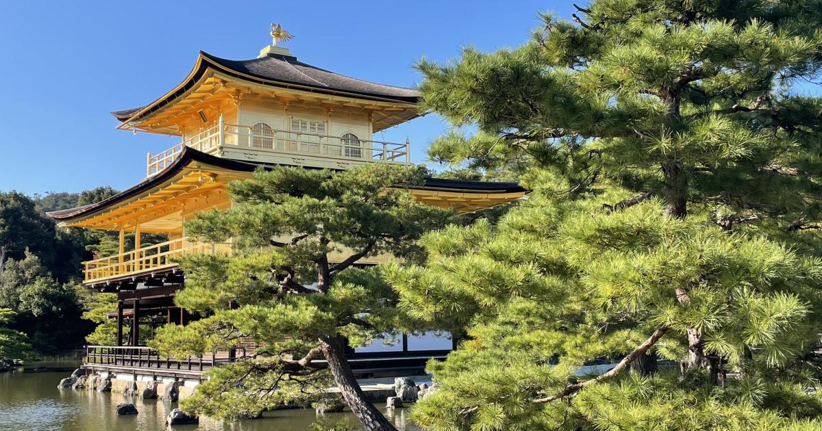 i-Pro: With a Start-Up Mentality Into the AI Era • GIT-SECURITY.com is the target group portal ...